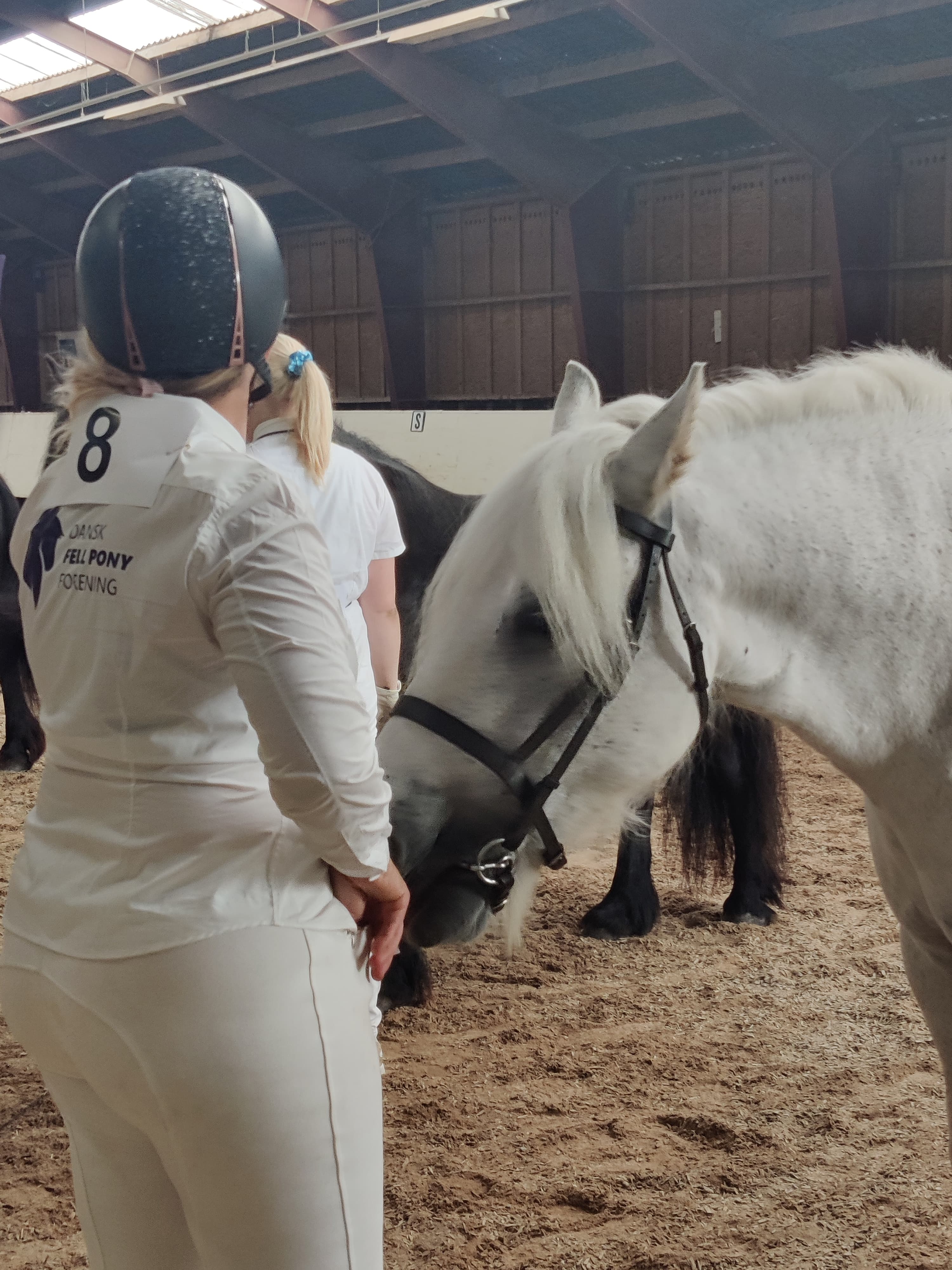 Showet i Jylland bliver en fest!